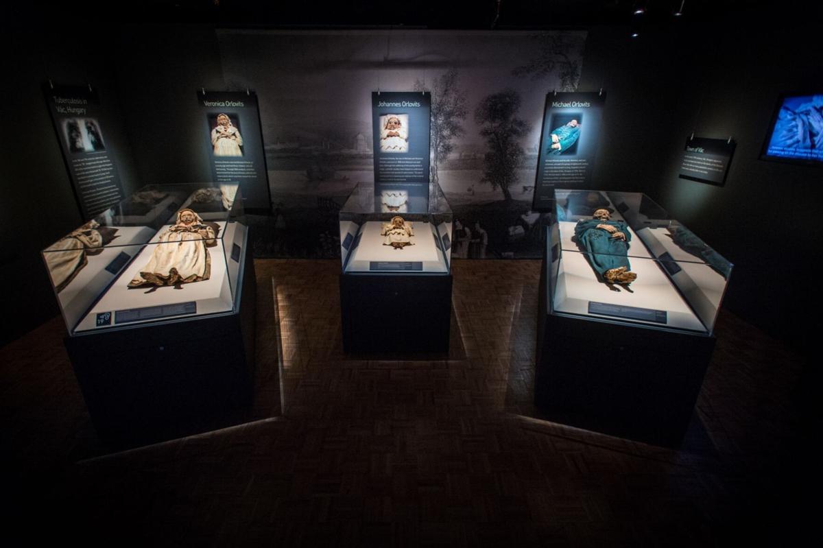 40 mummies await at St. Louis Science Center, where its own baby mummy ...
