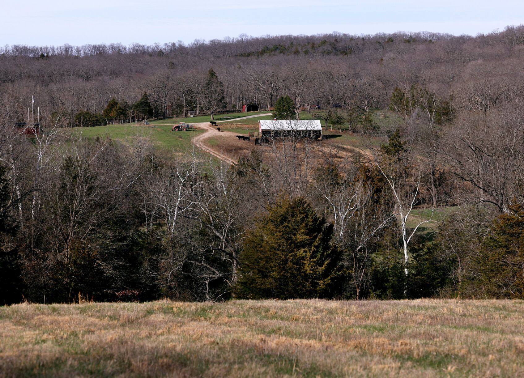 Photos: Clay Farms is a historic Missouri farm owned by a Black family ...