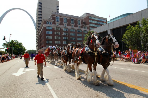 Anheuser-Busch float out of annual Rose Parade