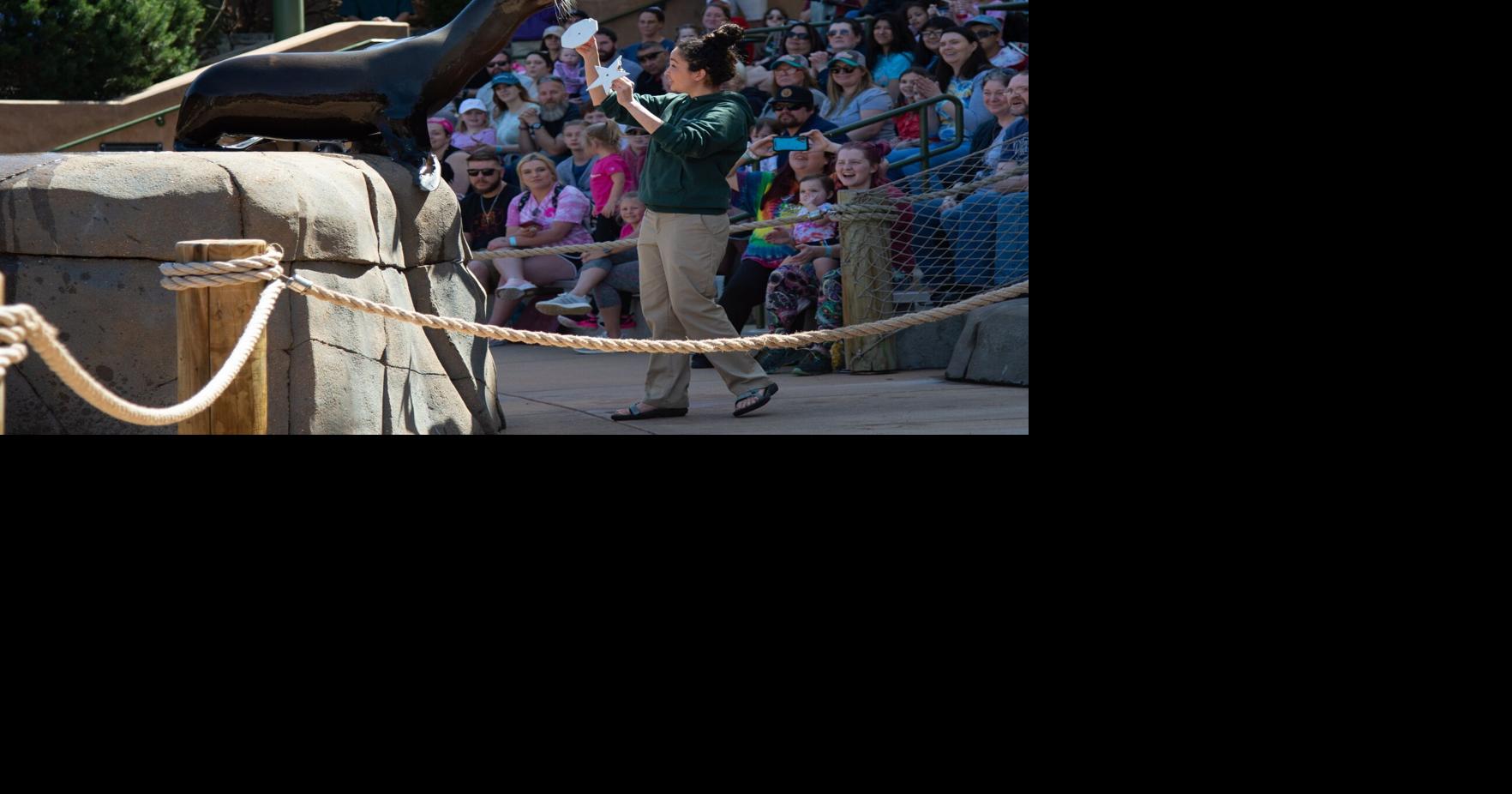 STL metro area makes top 20 for summer trip spots