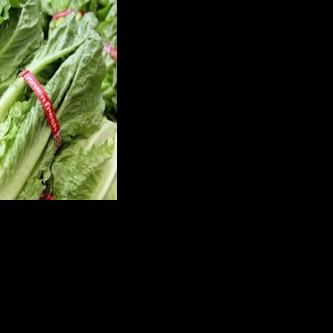 Suit: St. Charles Co. caterer served lettuce with E. coli
