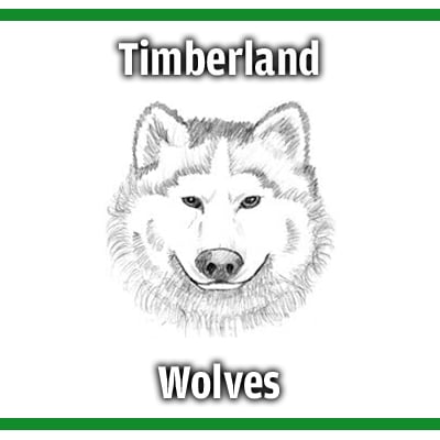 Timberland nets quarterfinal PK win over Howell Central