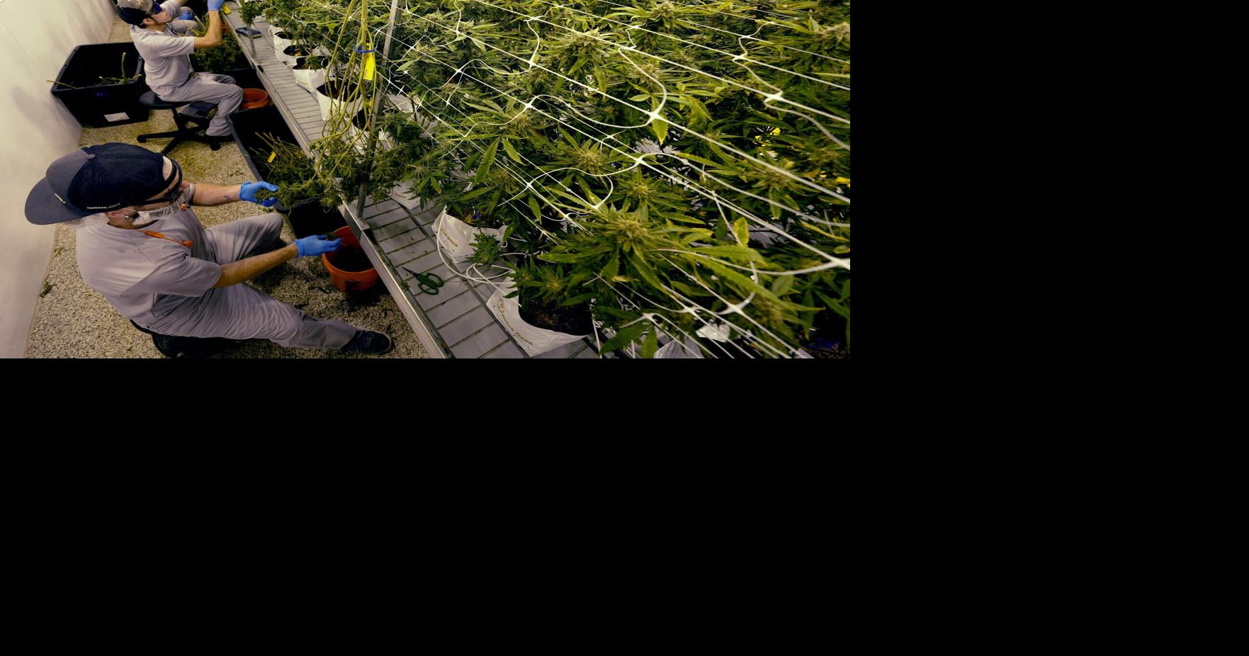 After Missouri and Maryland, marijuana advocates look to next states ...