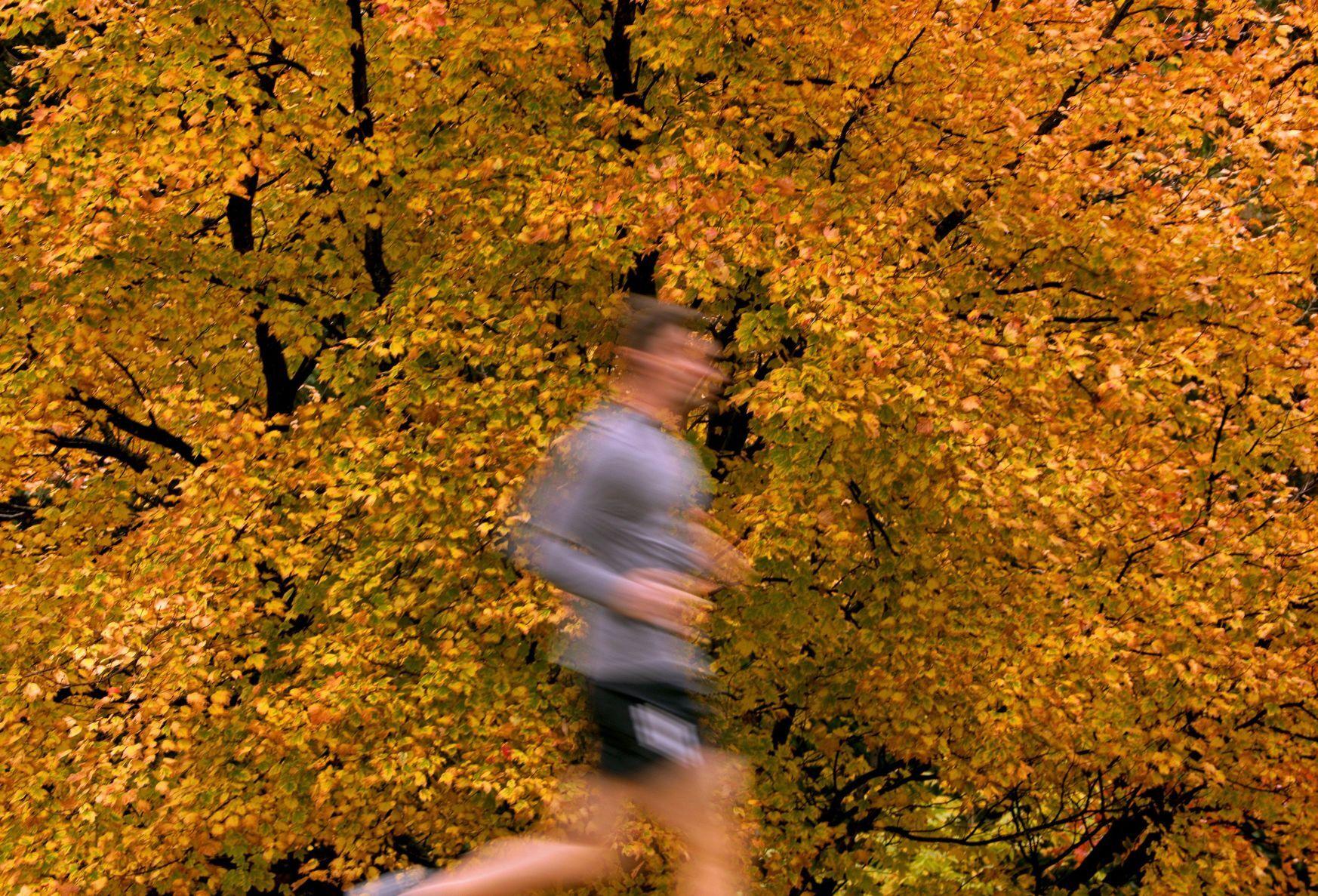 Photos: Fall colors showing up around the St. Louis metro area