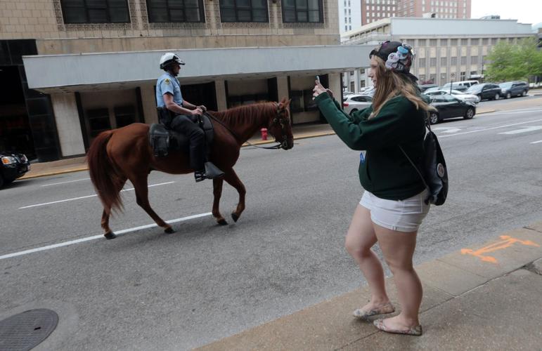 St. Louis police expanding use of mounted patrol