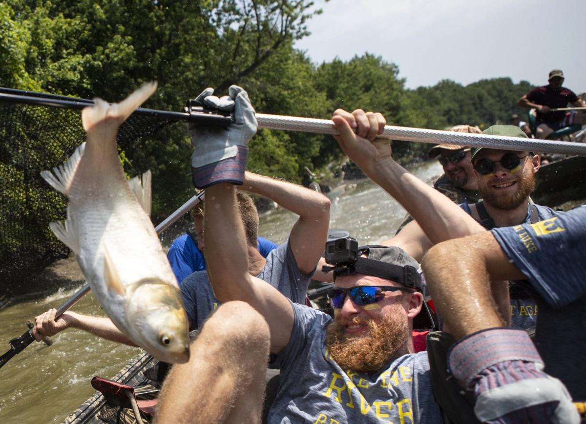 Who gives a carp? Author details crisis with invasive, river-clogging fish