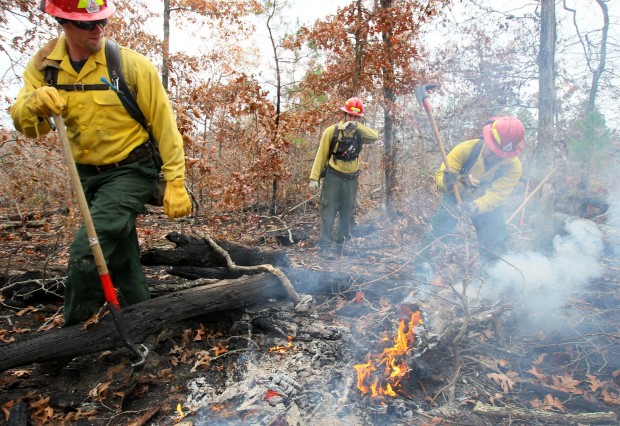 Who set the Mark Twain forest fire?
