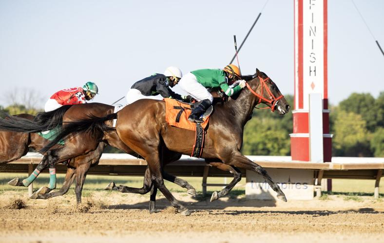 $250,000 St. Louis Derby is showcase of Fairmount Park's 100th year ...