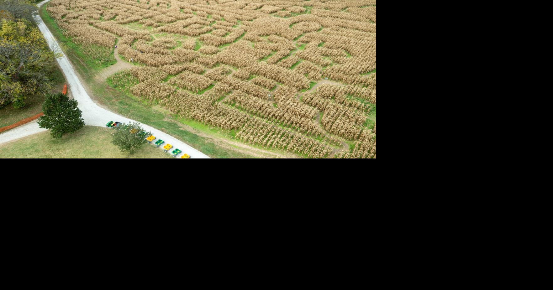Corn-maze craze pays off for St. Louis-area farmers
