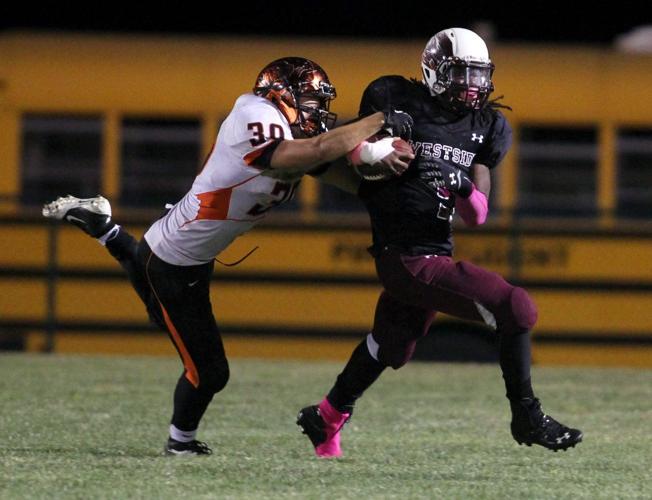 Belleville West product Brian Hill hopes XFL leads him back to NFL