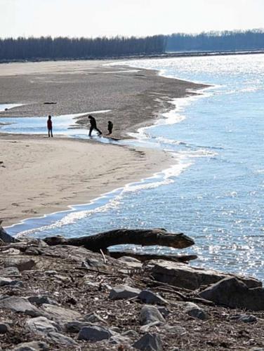 What happened to Chouteau Island's grand plan?