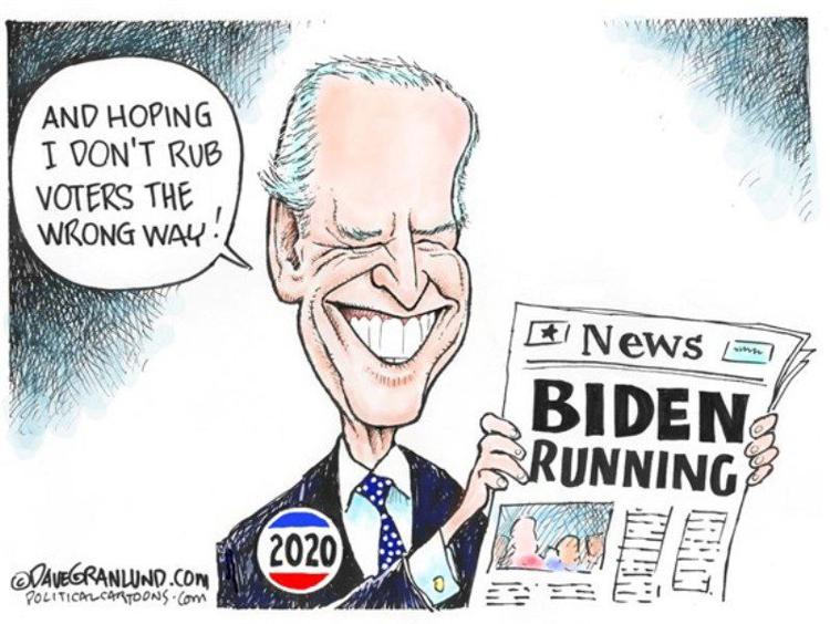 In The Cartoons Biden Impeachment Democratic Candidates