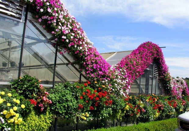 Ahner's Garden and Gifts, landmark florist that still grows its own, to ...