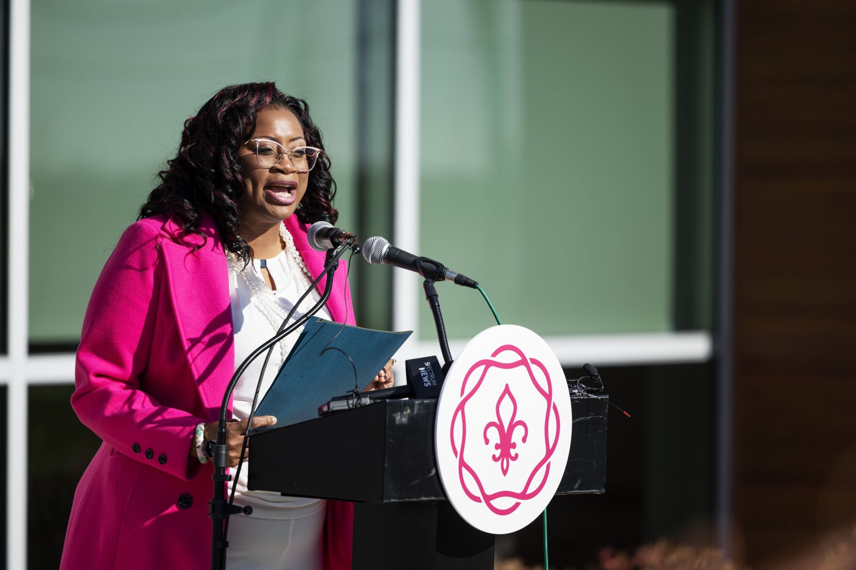 Politicians sue St. Louis Co. councilwoman over fight