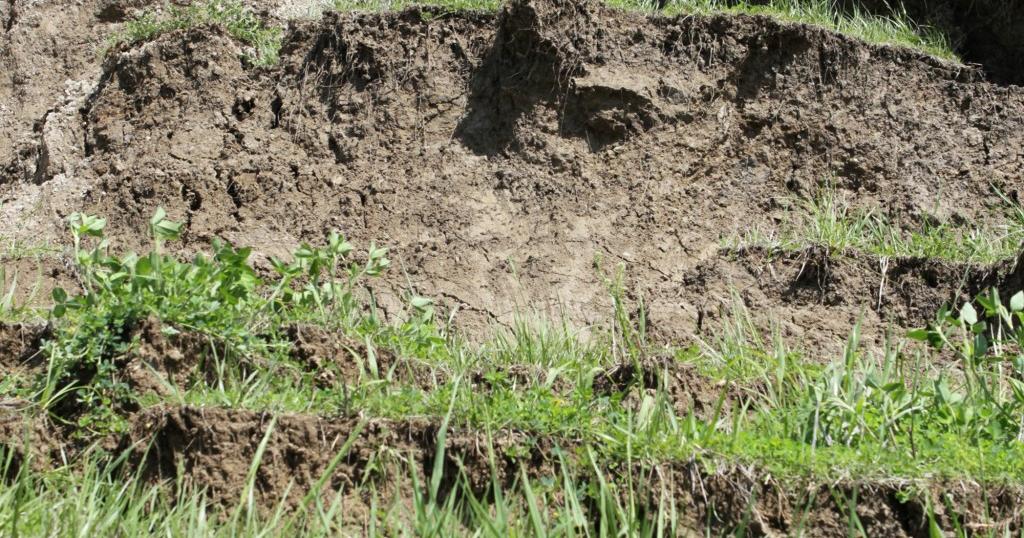 No safety threat from levee slide near Crystal City, officials say