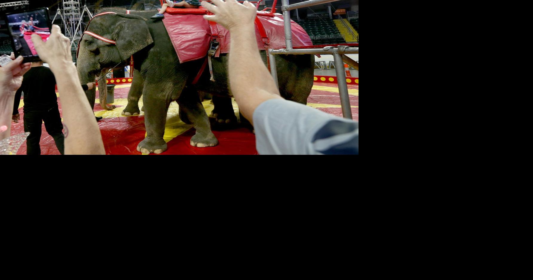 Photos: Moolah Shrine Circus offers elephants rides