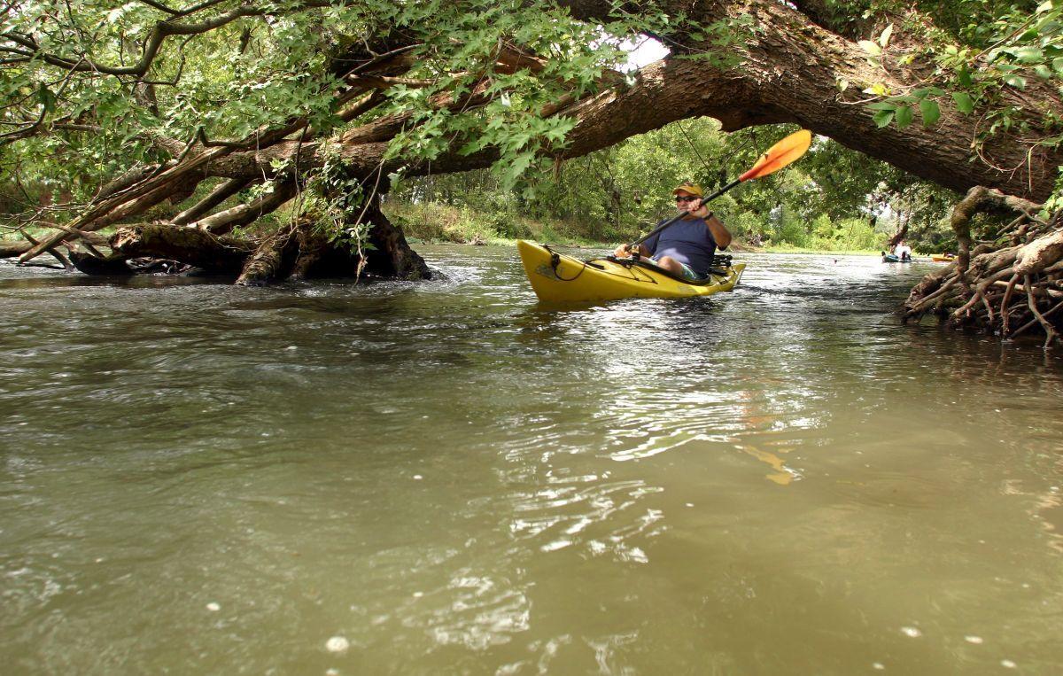 Eleven Point River marks 50 years as a wild and scenic river