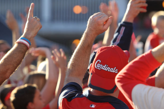 The best fans in baseball
