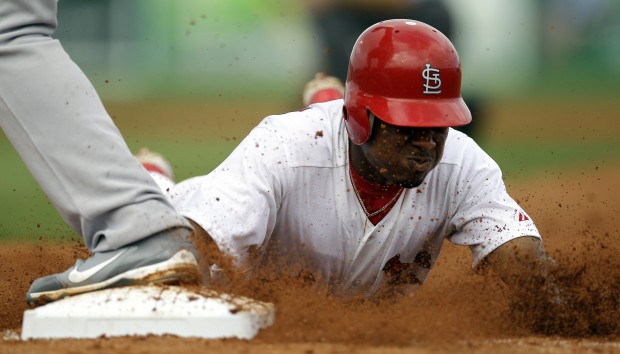 Goold: A need for more than speed | Derrick Goold: Bird Land | stltoday.com