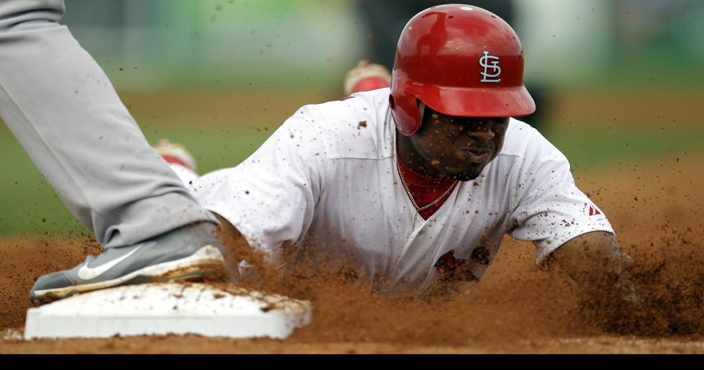 Goold: A need for more than speed | Derrick Goold: Bird Land | stltoday.com