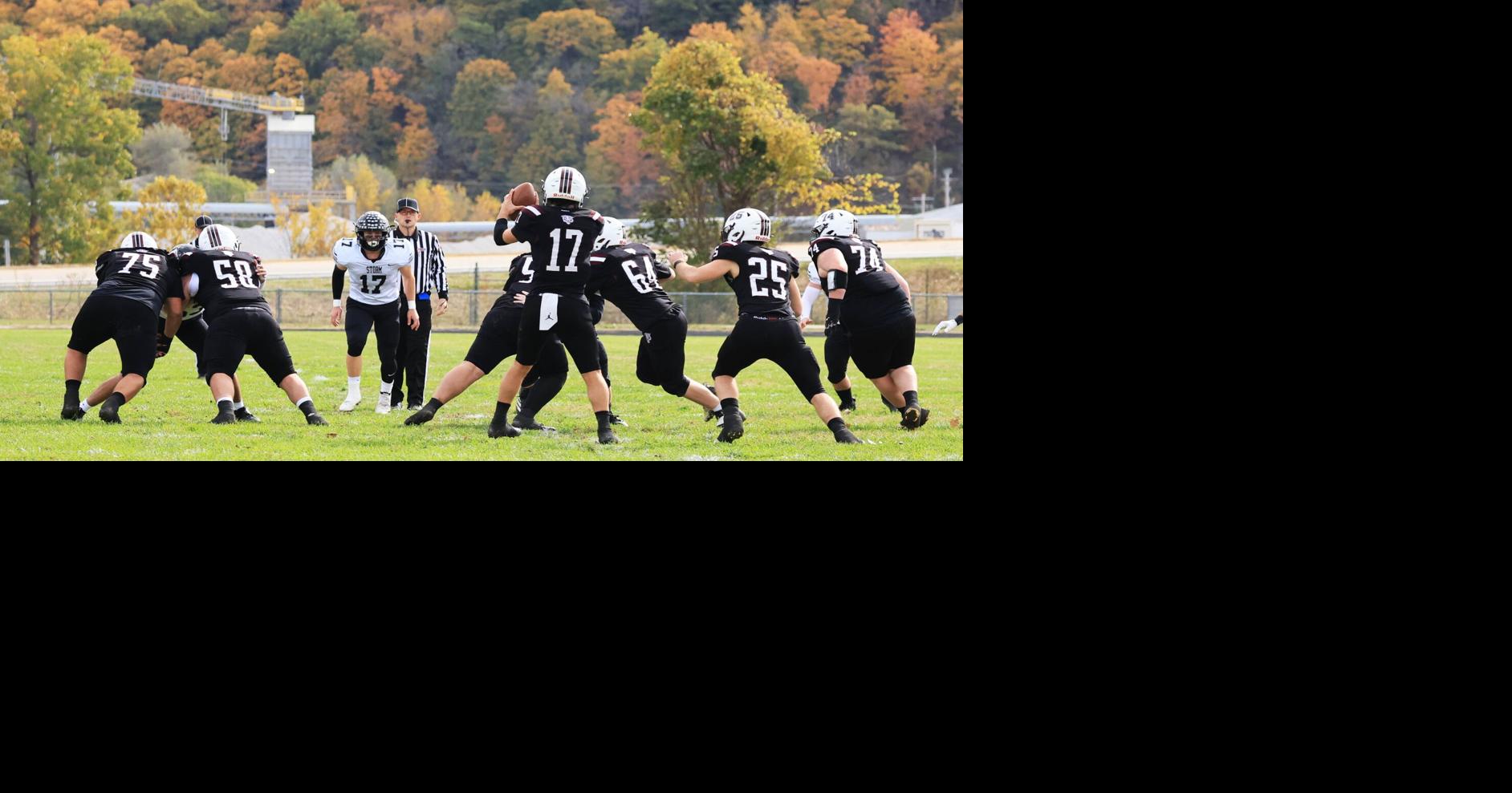 Class 1A football first-round playoff: Dupo 28, Catlin Salt Fork 7