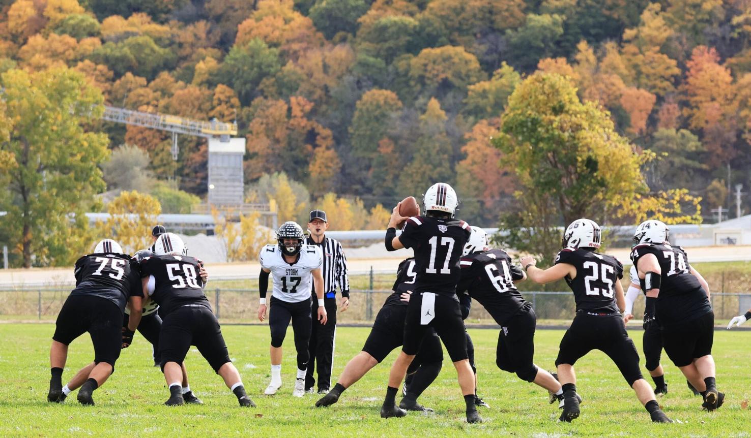 Class 1A football first-round playoff: Dupo 28, Catlin Salt Fork 7
