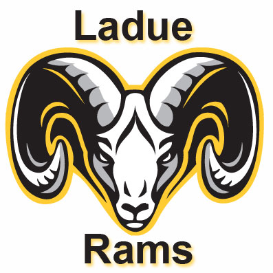 Ladue adds to wrestling win streak with Chaminade title