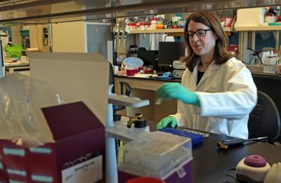 Acquisition gives St. Louis-based Canopy an international reach