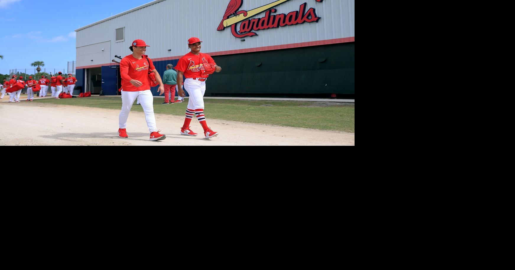 Will Cardinals' renovations at Roger Dean wrap by spring?
