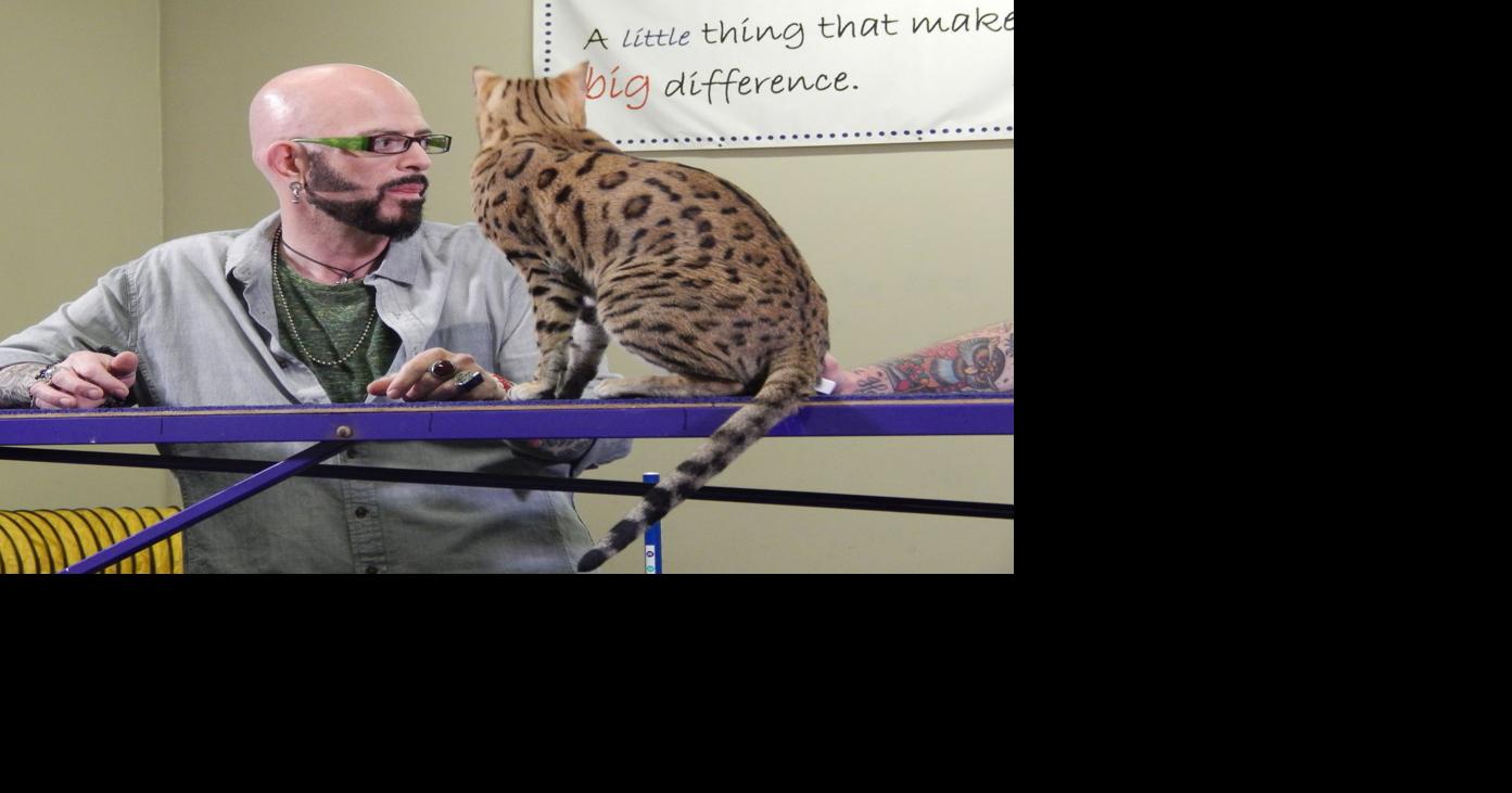 Feline whisperer Jackson Galaxy knows the secrets to getting along with ...