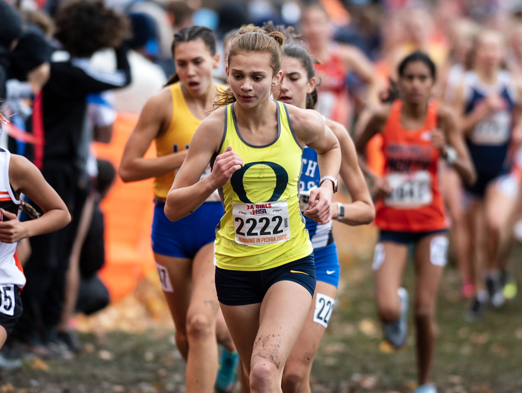 Illinois girls cross country state roundup: Meiser makes Civic Memorial ...