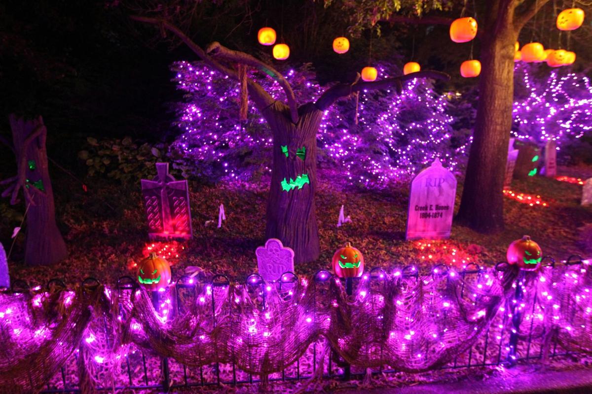 No 'Boo at the Zoo' Tuesday night due to rain