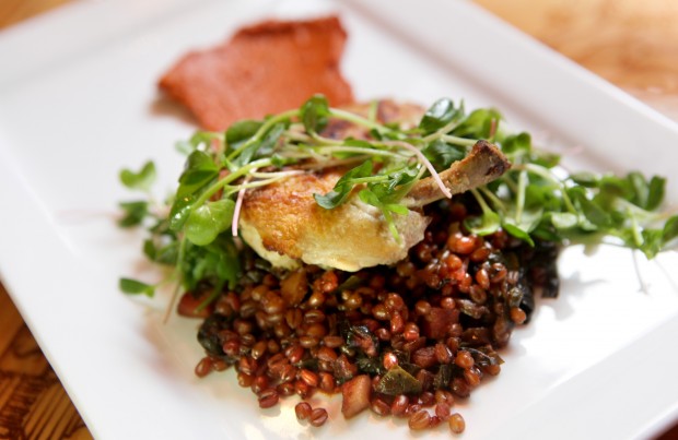 Robust Wine Bar's new vintage shows promise