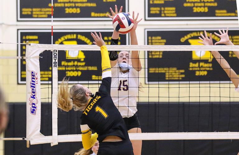 All-Metro girls volleyball player of the year: Scheer's mentality ...