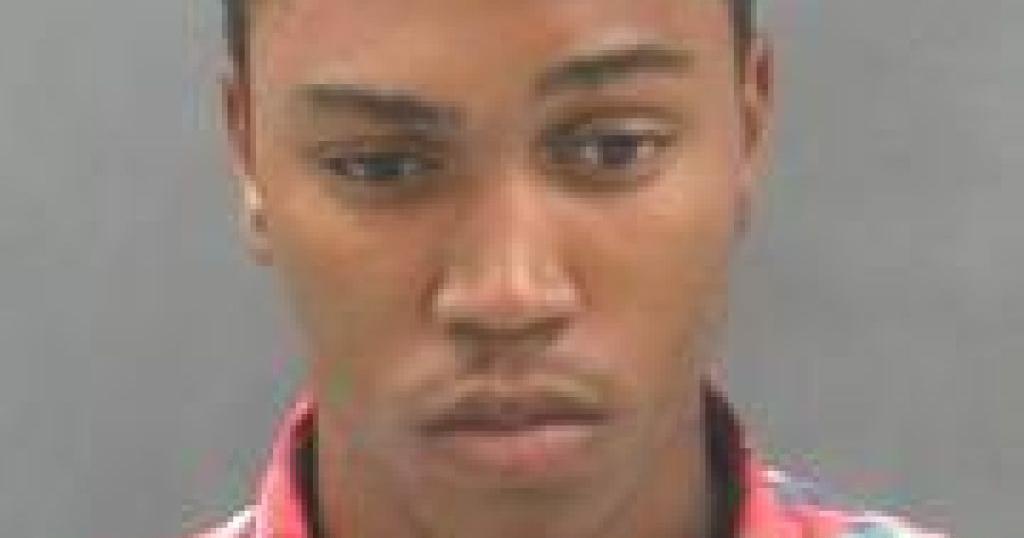 Second man pleads guilty in Central West End killing of Megan Boken