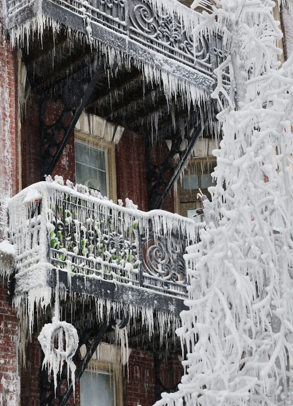 How much snow fell in St. Louis area after winter storm Fern