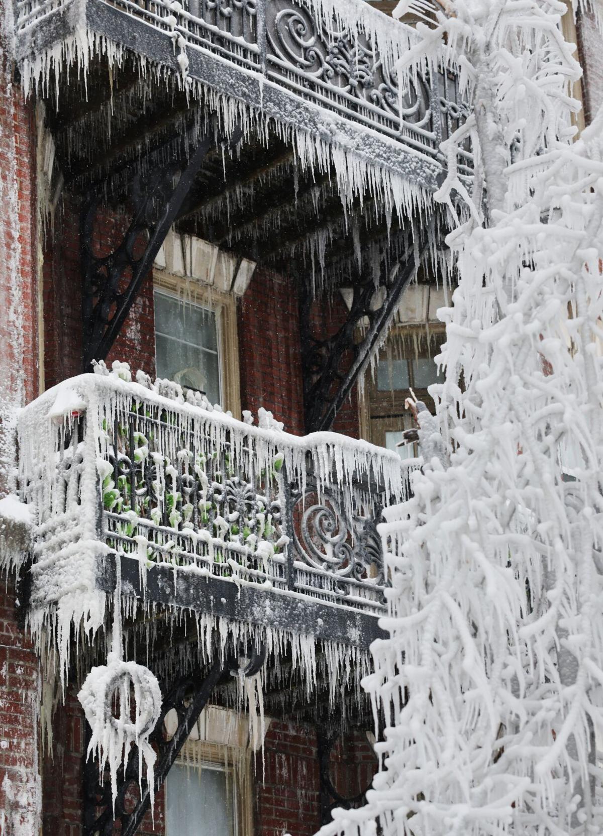 How much snow fell in St. Louis area after winter storm Fern