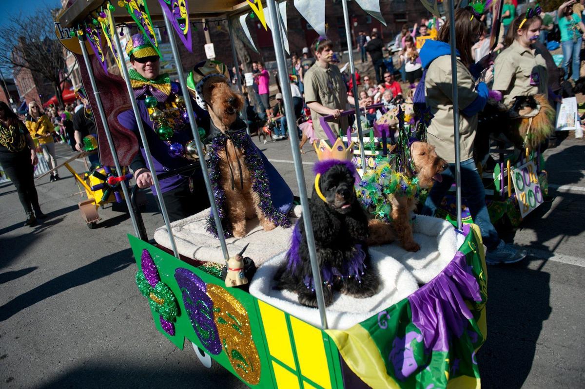 Thousands turn out for Soulard pet parade | Local | stltoday.com