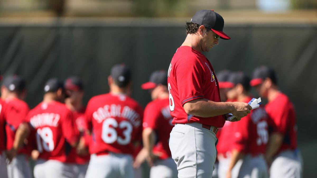 1. The Cardinals have more talent in camp this year