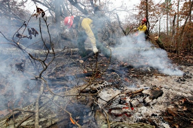 Who set the Mark Twain forest fire?
