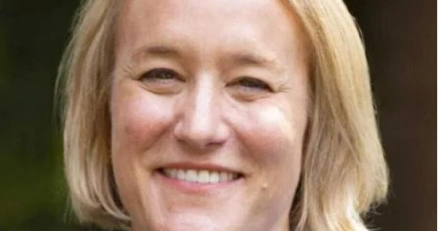 Budzinski defeats Deering in Illinois’ 13th Congressional District