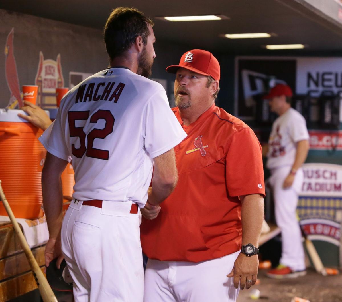 Outlook for Wacha in 2017?