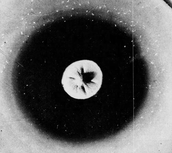 How the ‘wonder drug’ penicillin went from discovery to mass production ...