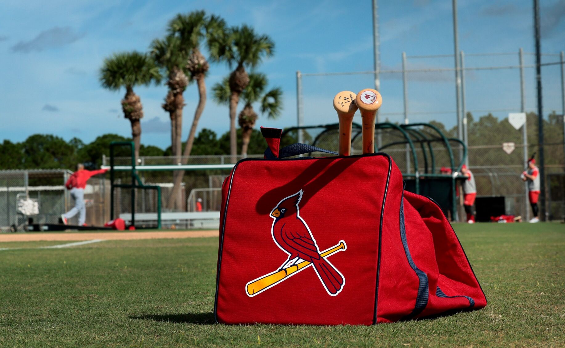 Photos: Gibson pitches first bullpen at Cardinals' spring training in ...