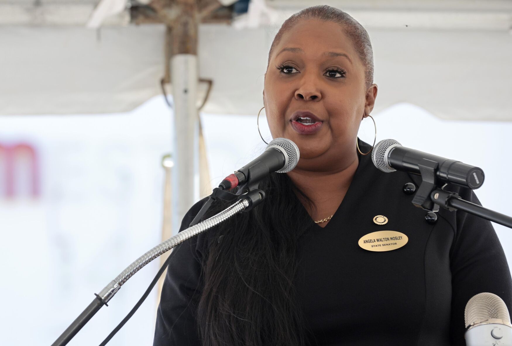 St. Louis County councilwoman: State senator assaulted me