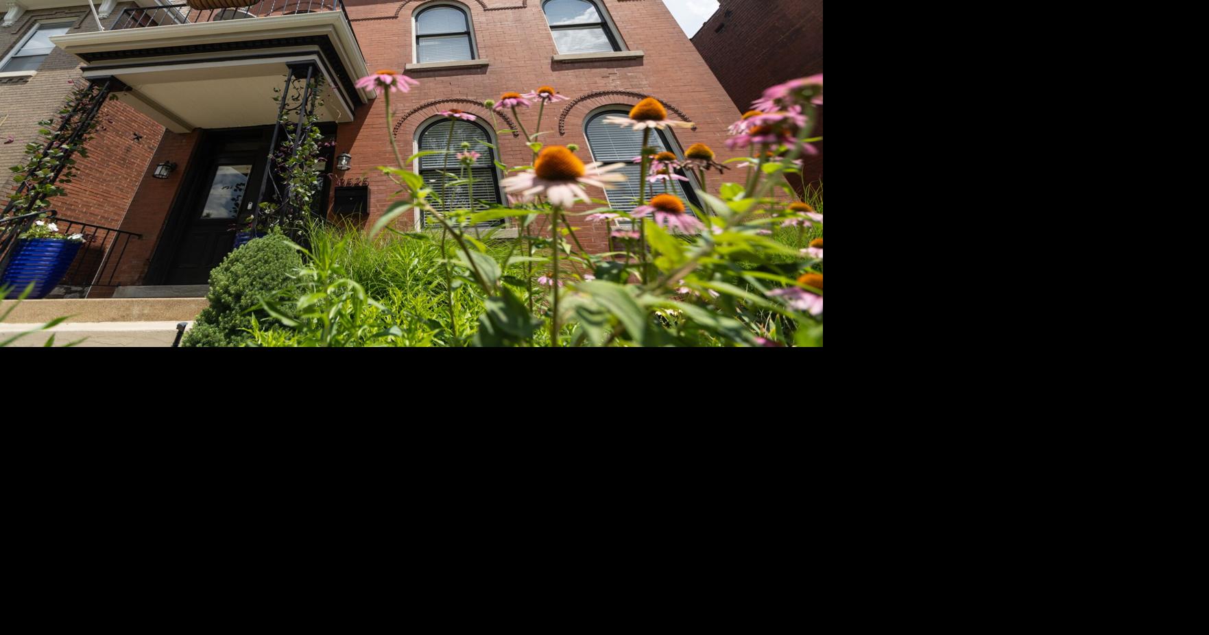 Photos: At Home with Jean and Doug Webb in Tower Grove East