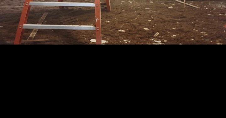 Gino Rives home repairs