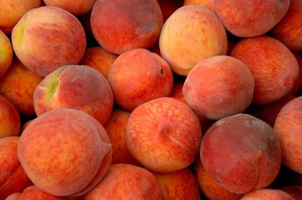 Despite the cruel winter, peaches are on the way