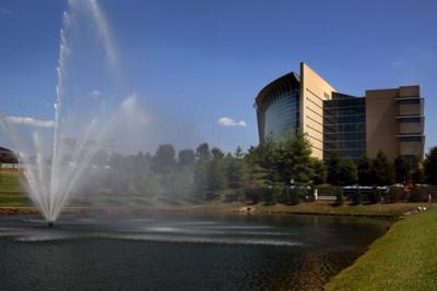 Savvis unveils cloud computing service