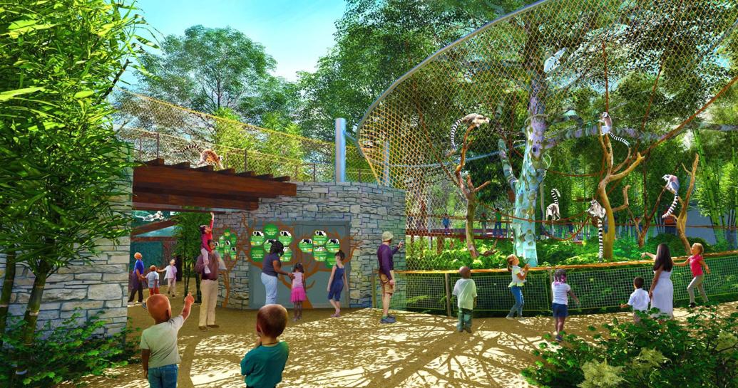St. Louis Zoo announces new exhibit that will put primates — even ...